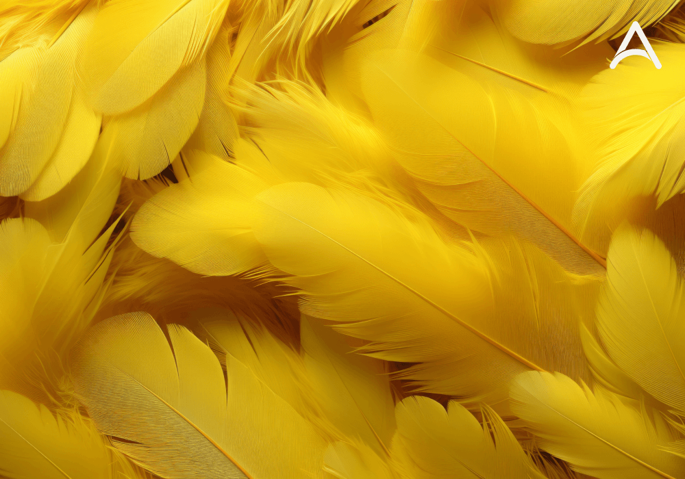 Lightweight technologies React and Node.js vs mobile and web app